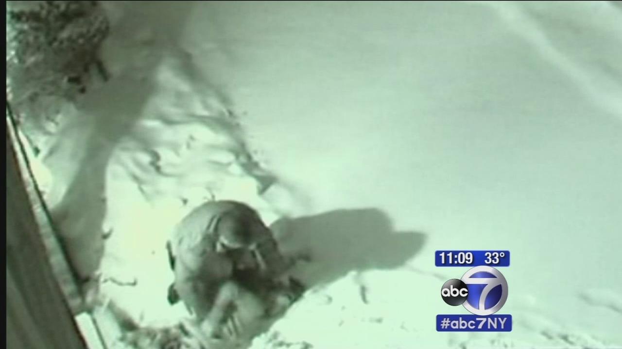 Teen alleges police brutality against Little Falls police officer ... Teen alleges police brutality against Little Falls police officer ...