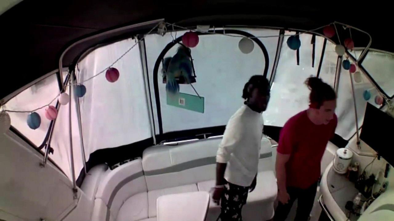 Security camera captures boat burglars in Diversey Harbor | abc7chicago.com Security camera captures boat burglars in Diversey Harbor | abc7chicago.com