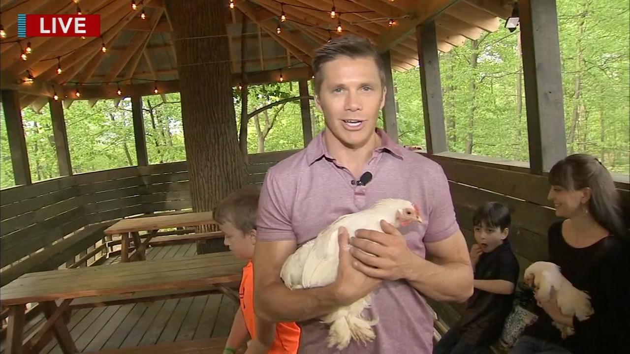 Adam Joseph | 6abc.com