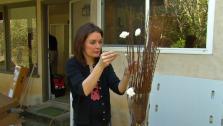 Creating an Elegant Living Room | Home with Lisa Quinn | The Live Well ...